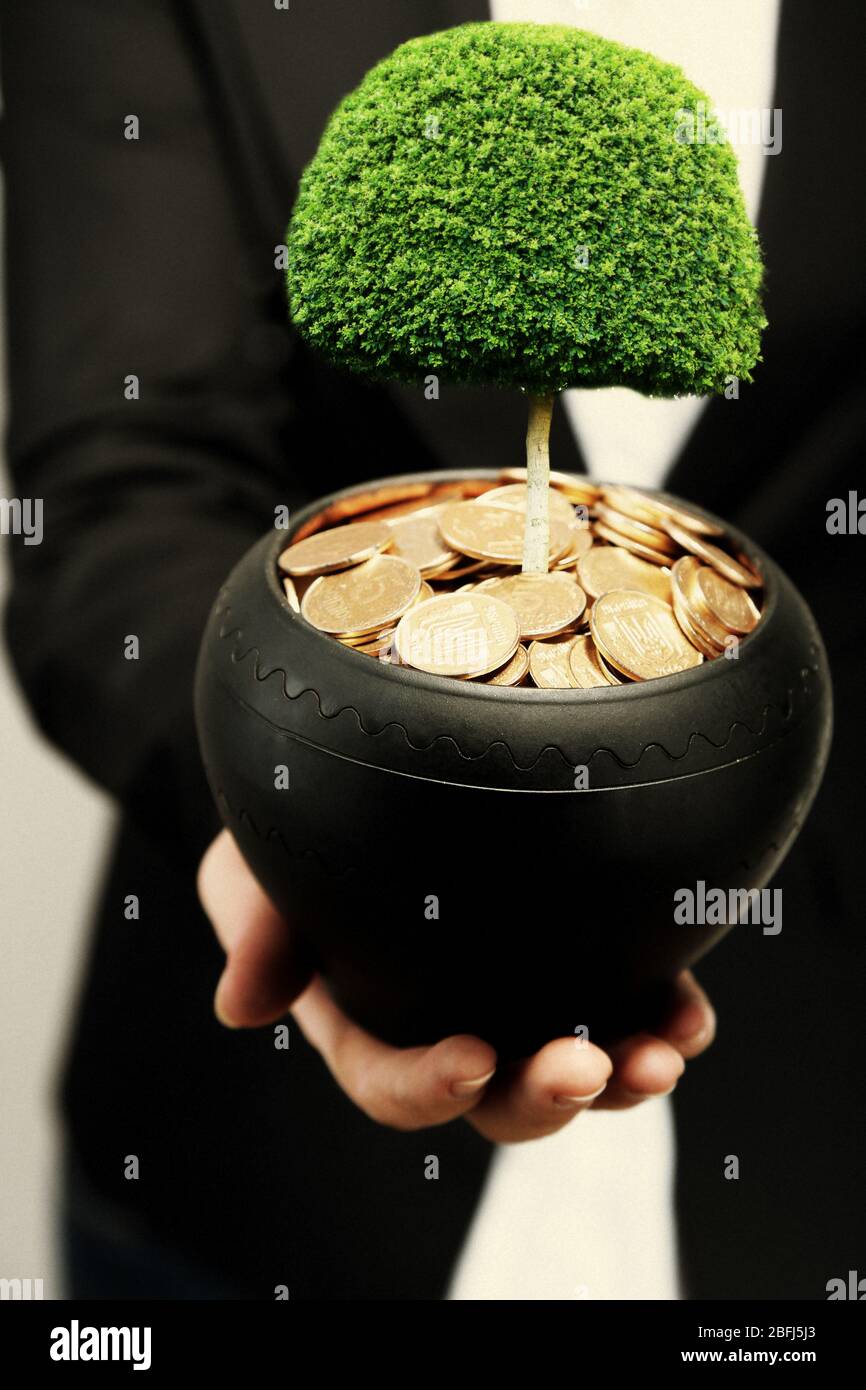 Green tree growing in ceramic pot full of coins, pot in hand Stock ...