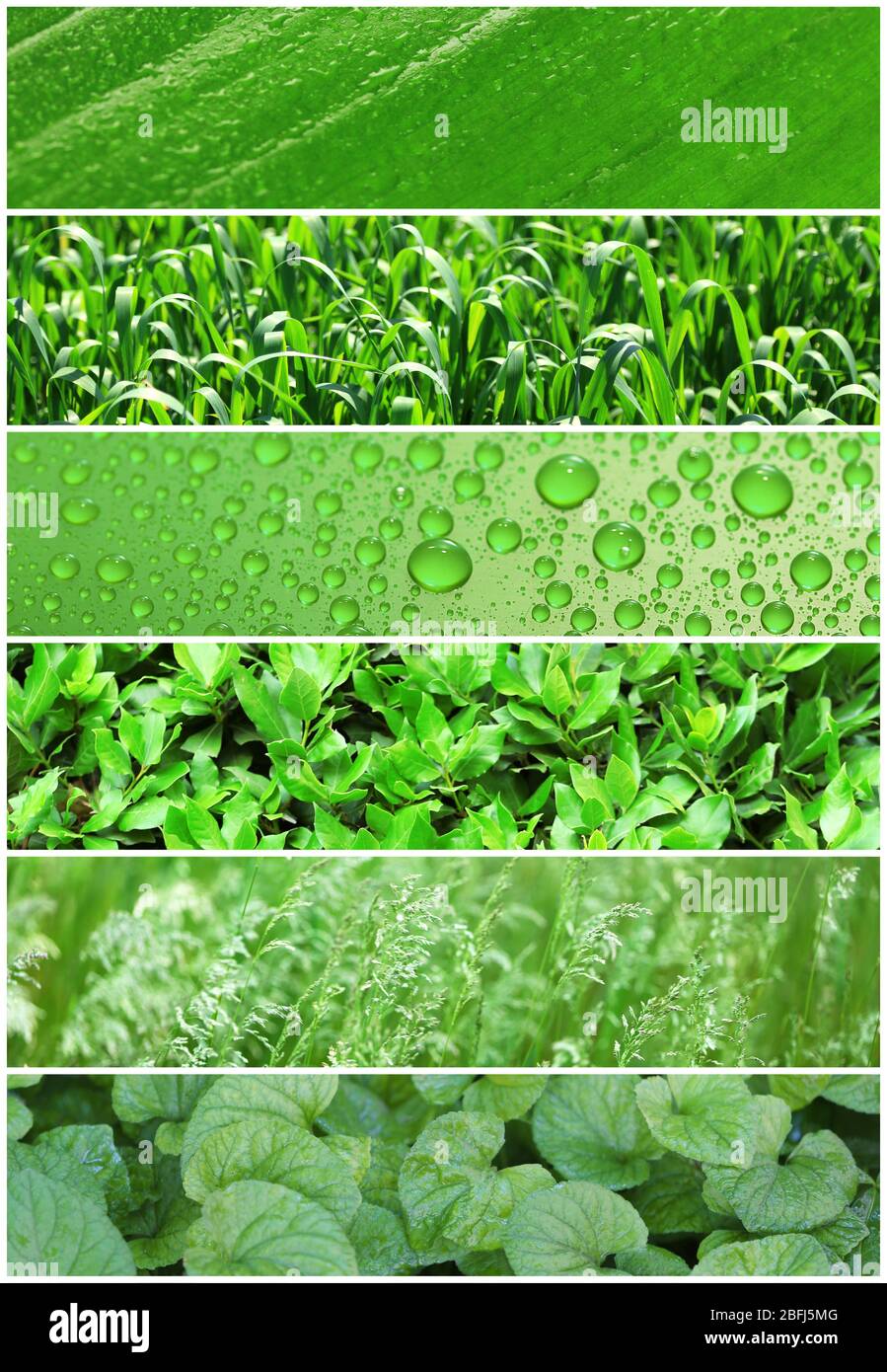 Green color samples collage Stock Photo - Alamy