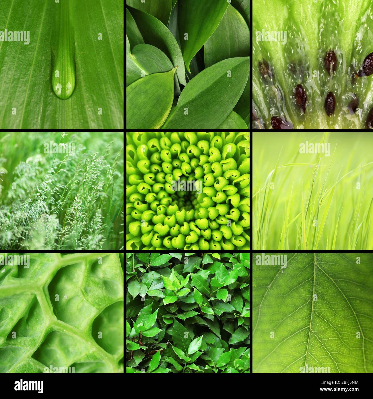 Green color samples collage Stock Photo - Alamy