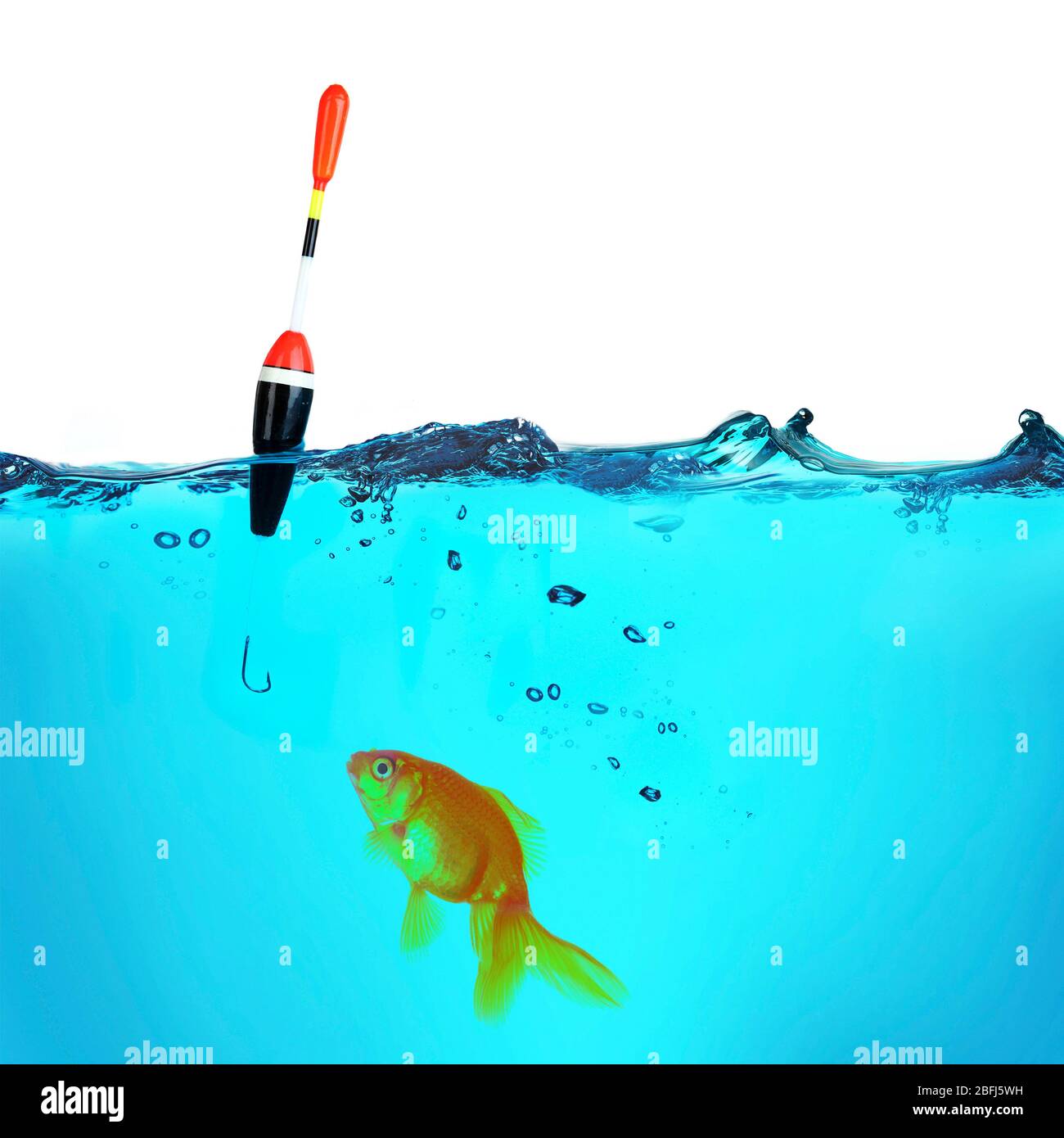 Fishing a goldfish, isolated on white Stock Photo - Alamy