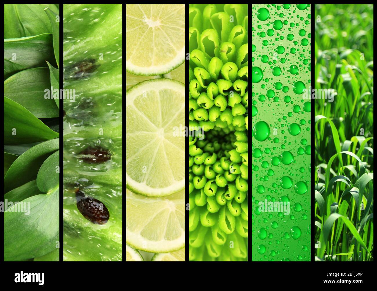 Green color samples collage Stock Photo - Alamy
