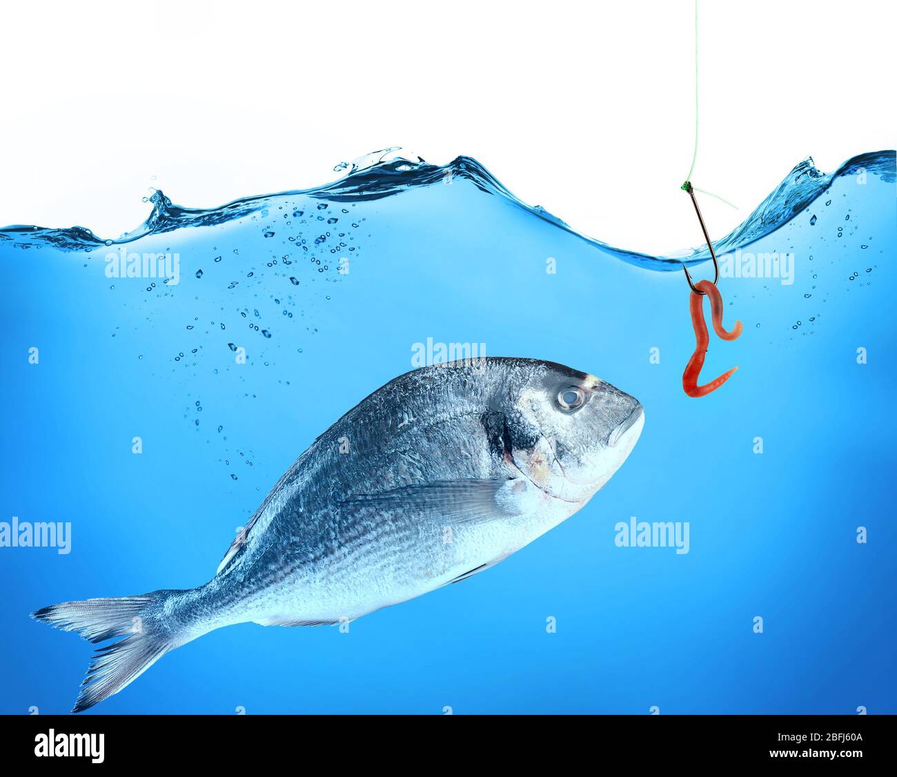 Fishing Hook In Water