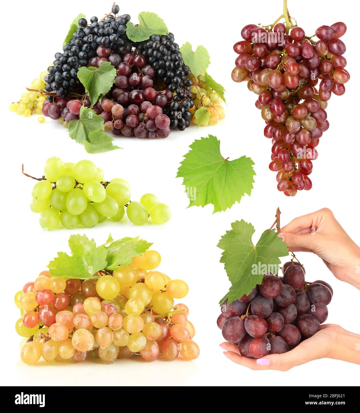 Assortment of ripe sweet grape isolated on white Stock Photo - Alamy