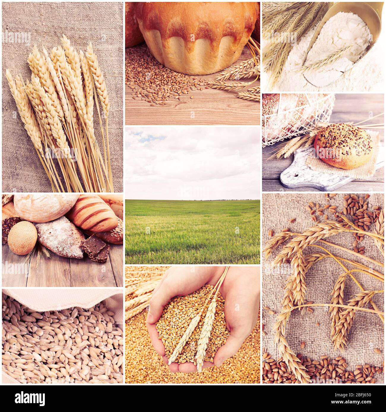 Wheat and bread collage Stock Photo - Alamy