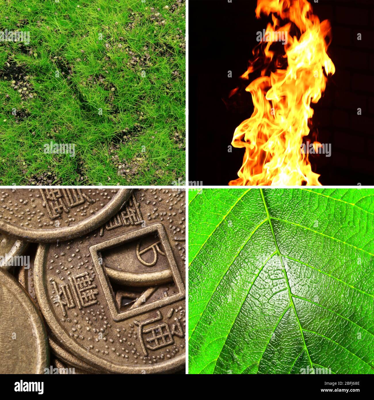 Collage of Feng Shui destructive cycle with five elements (water, wood ...
