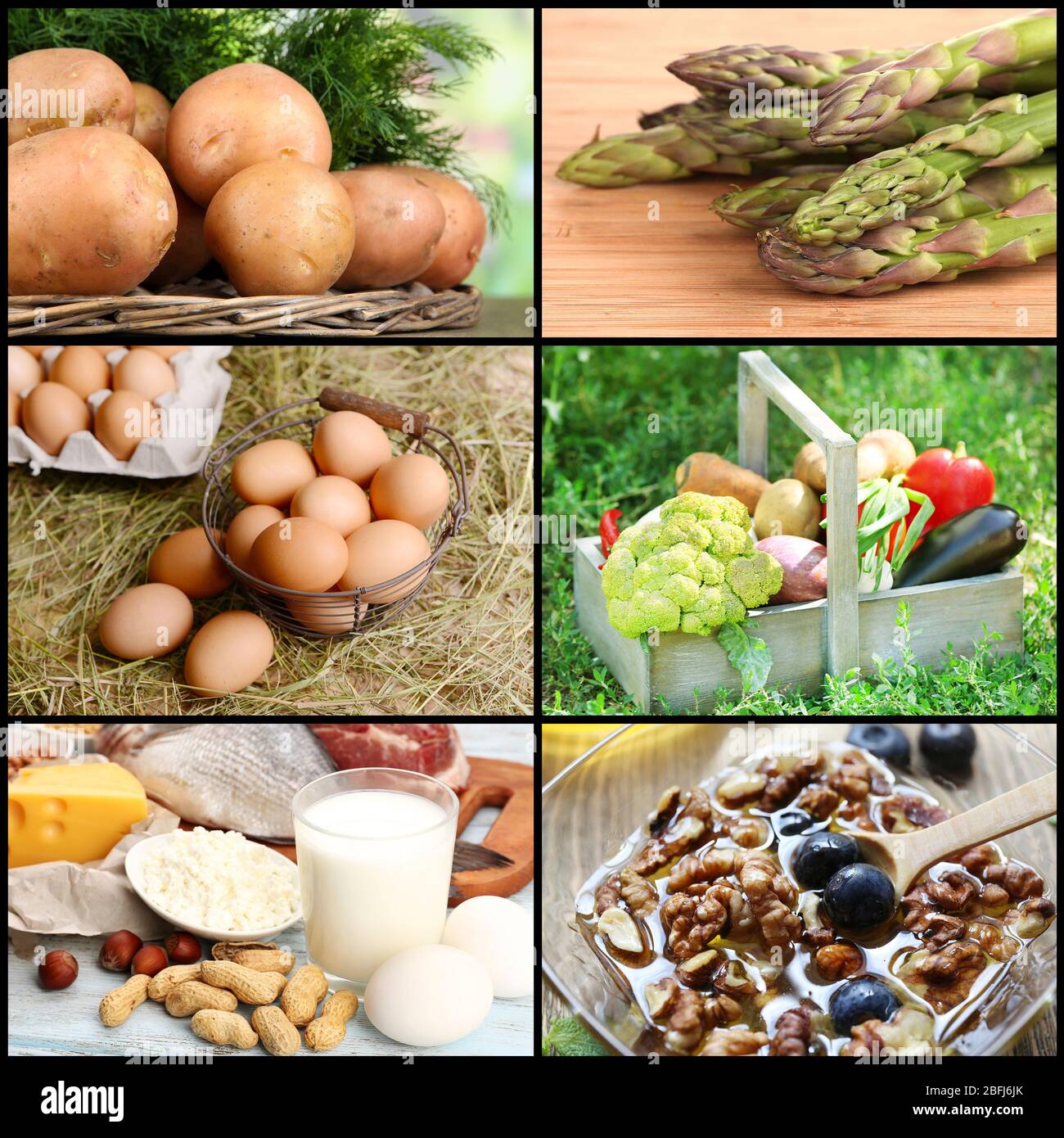 Collage dairy products milk hi-res stock photography and images - Alamy