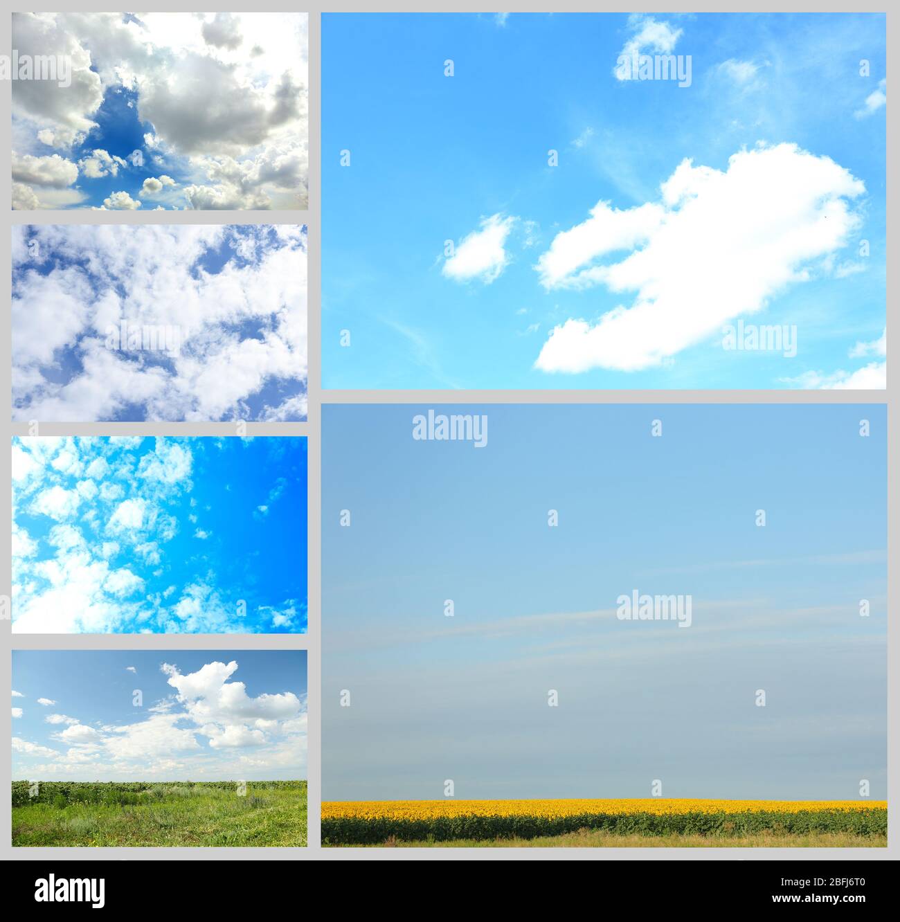Beautiful nature collage Stock Photo - Alamy