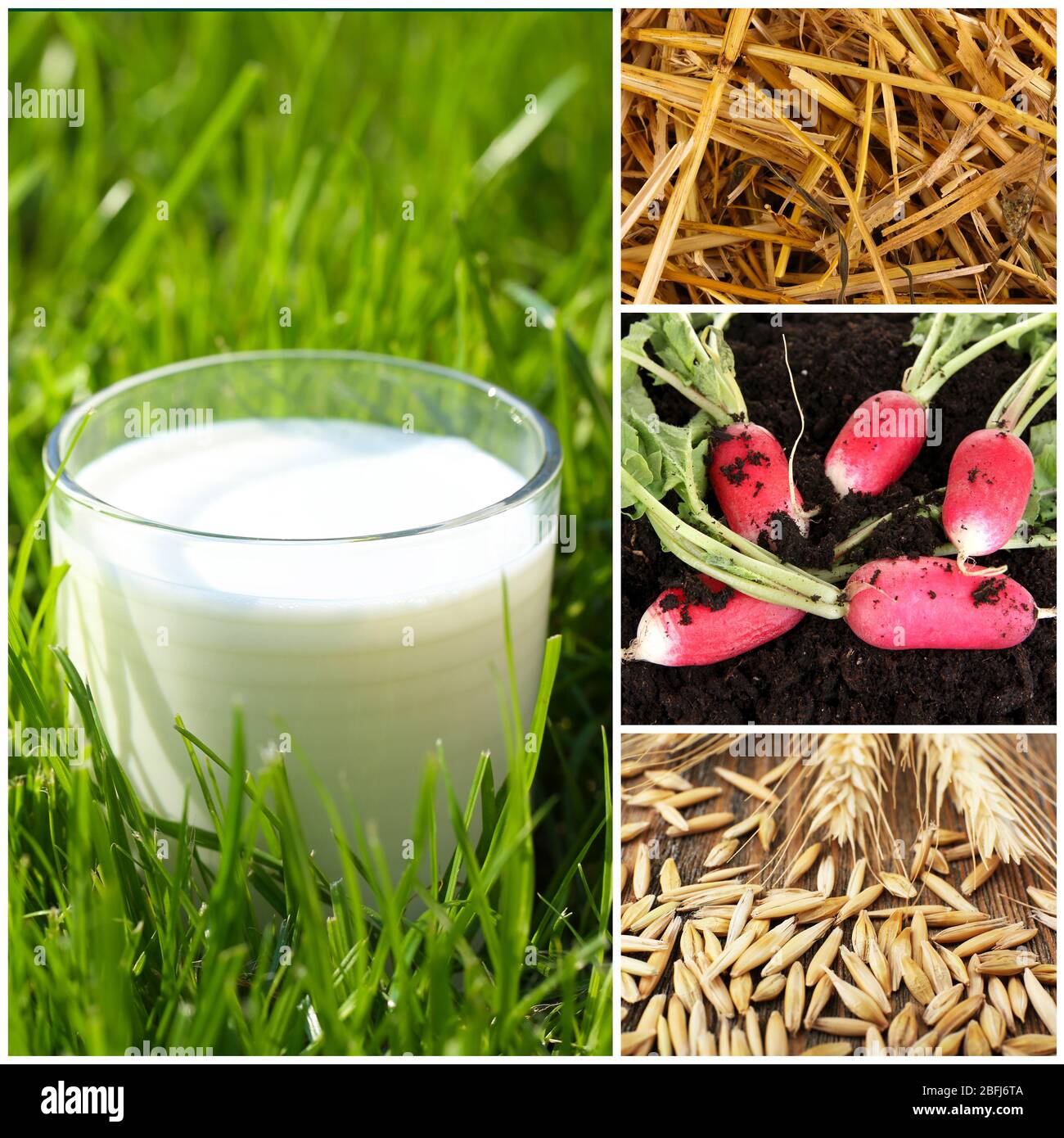 Rural agriculture agronomy farm Cut Out Stock Images & Pictures - Alamy