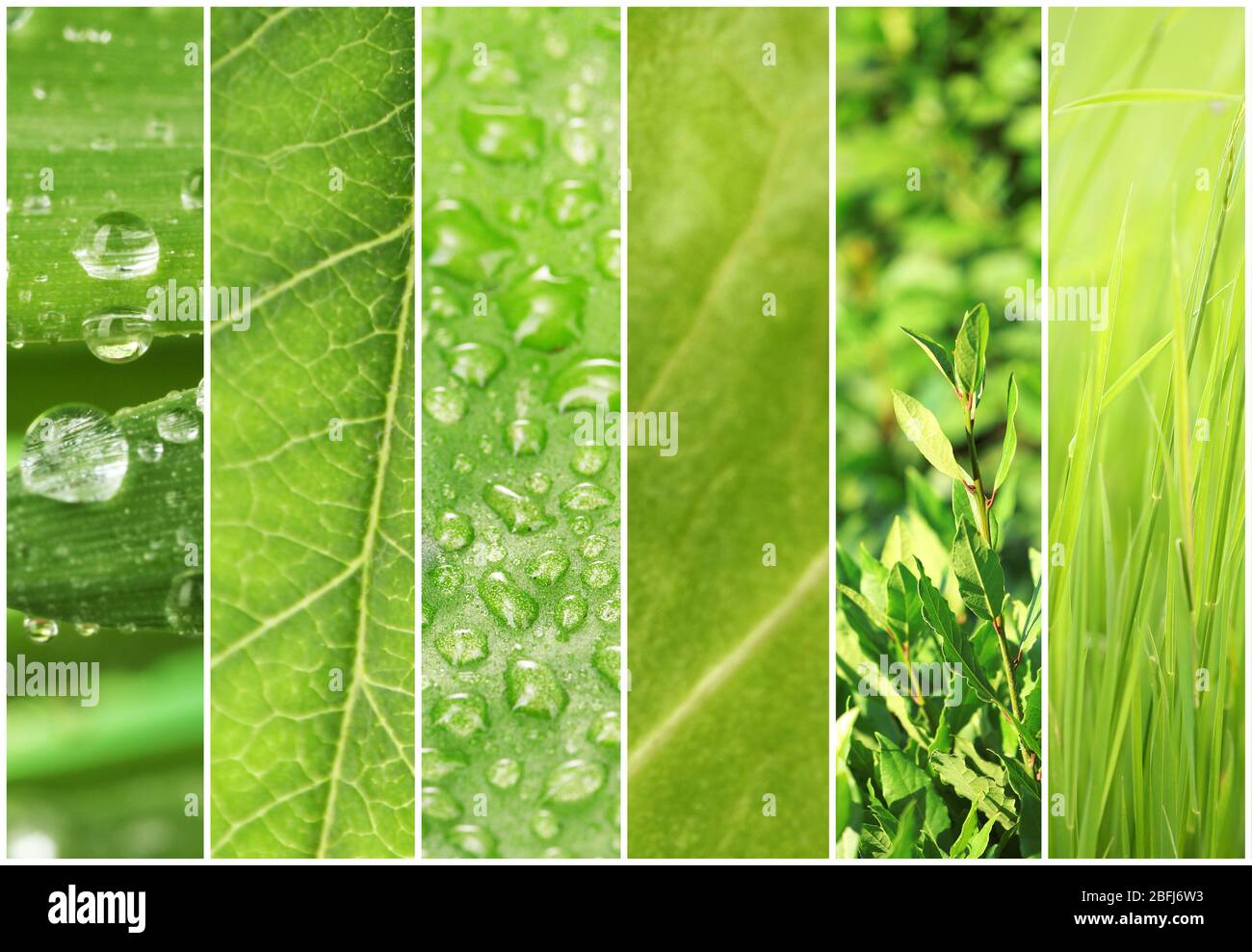 Green color samples collage Stock Photo - Alamy