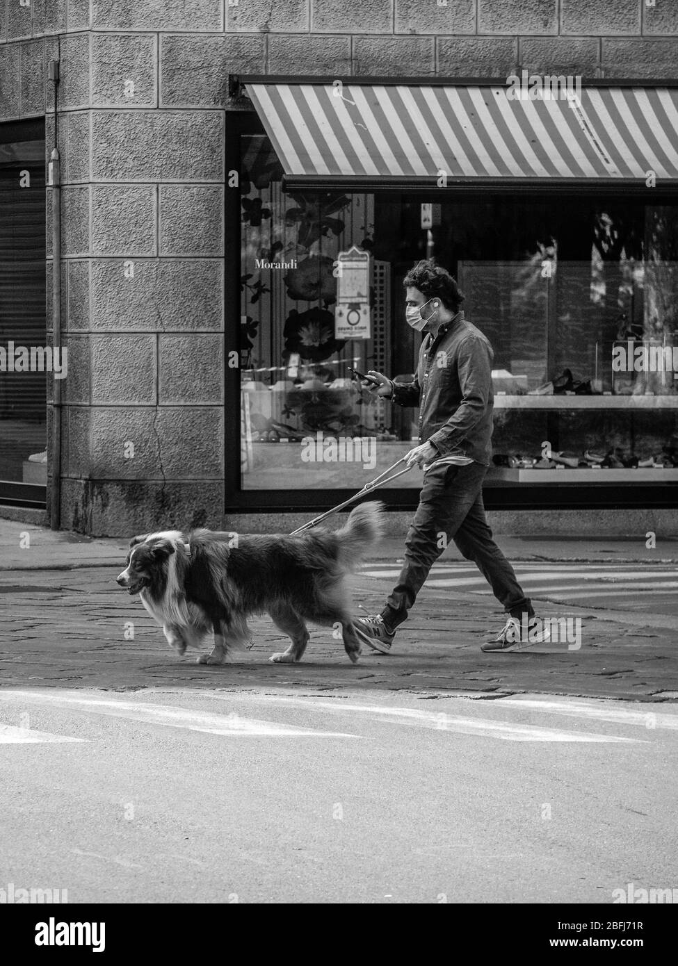 Dog during lockdown Black and White Stock Photos & Images - Alamy