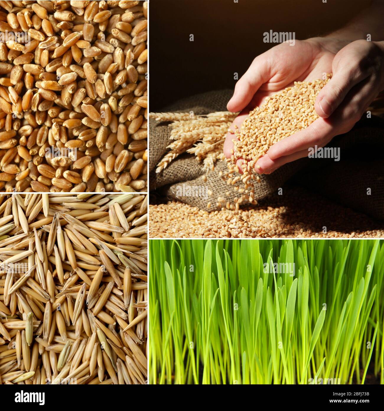 Soil classification hi-res stock photography and images - Alamy