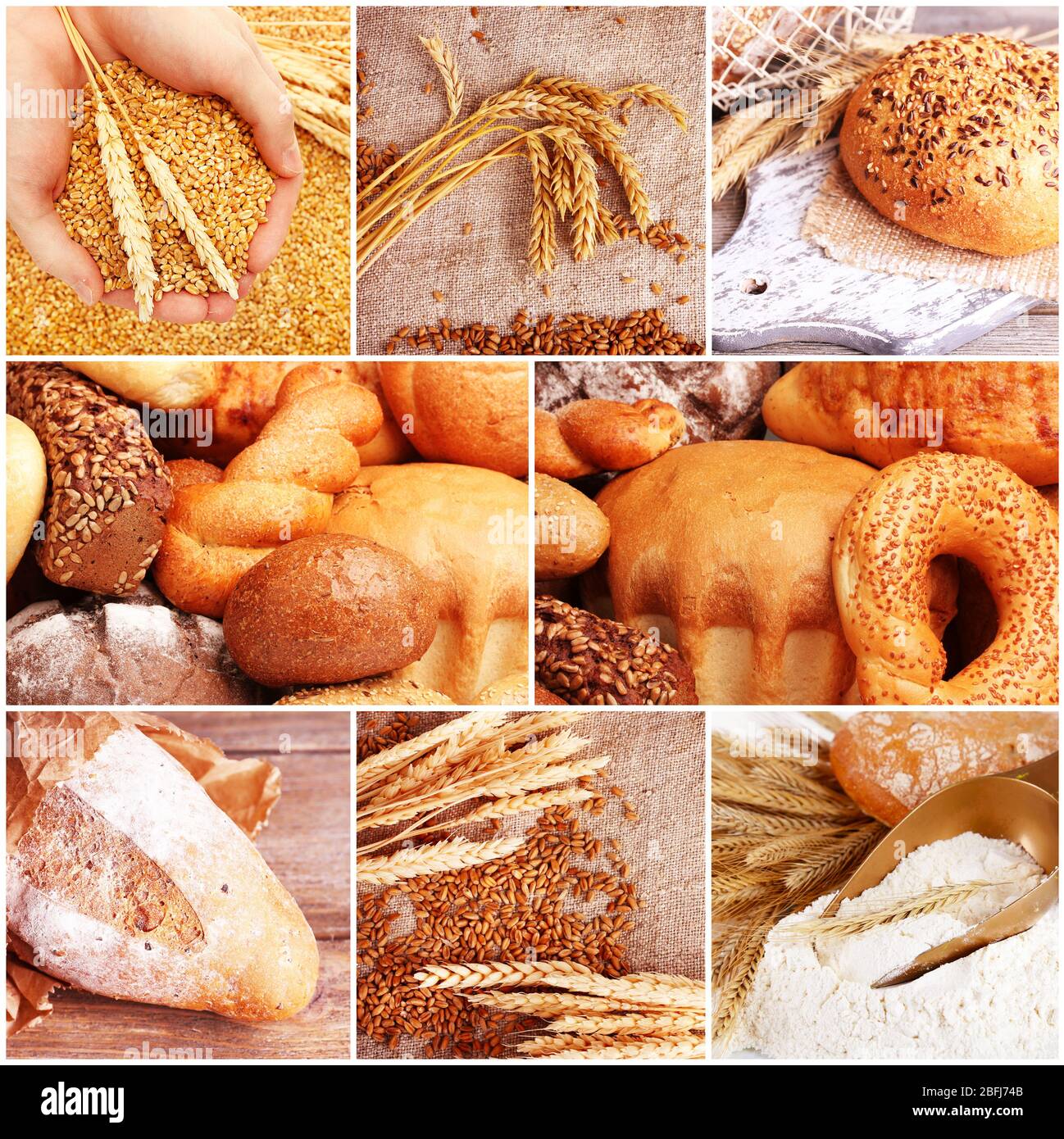 Hands wheat Cut Out Stock Images & Pictures - Alamy