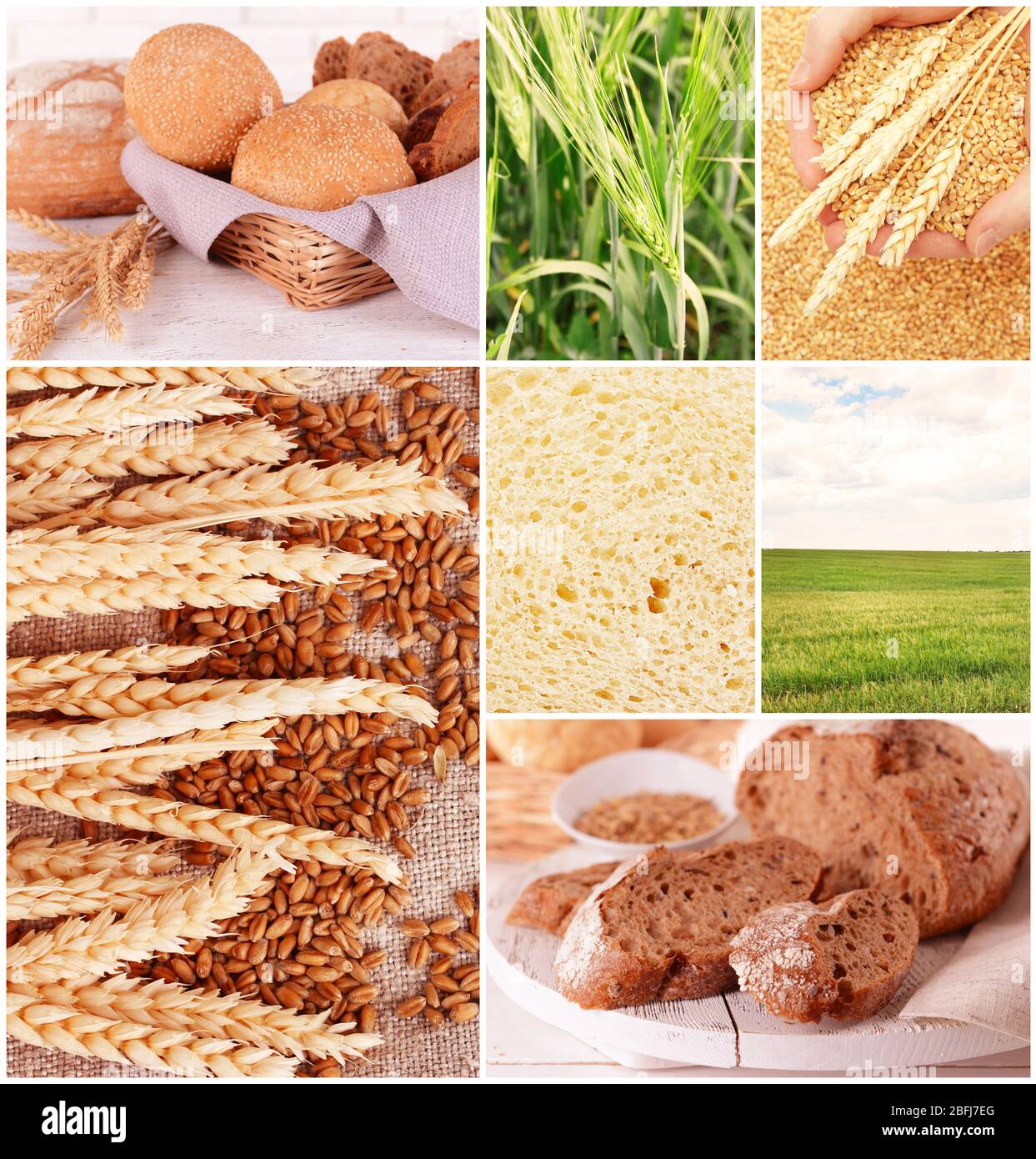 Wheat and bread collage Stock Photo - Alamy