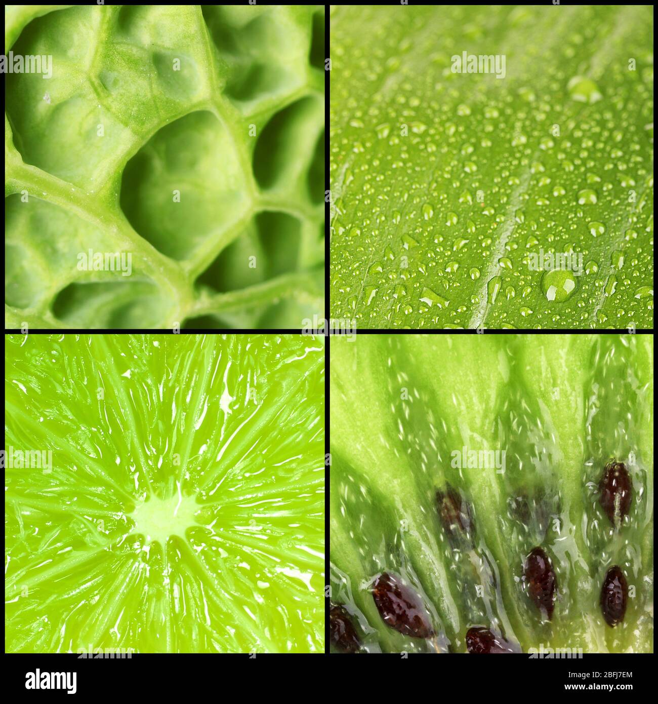 Green color samples collage Stock Photo - Alamy