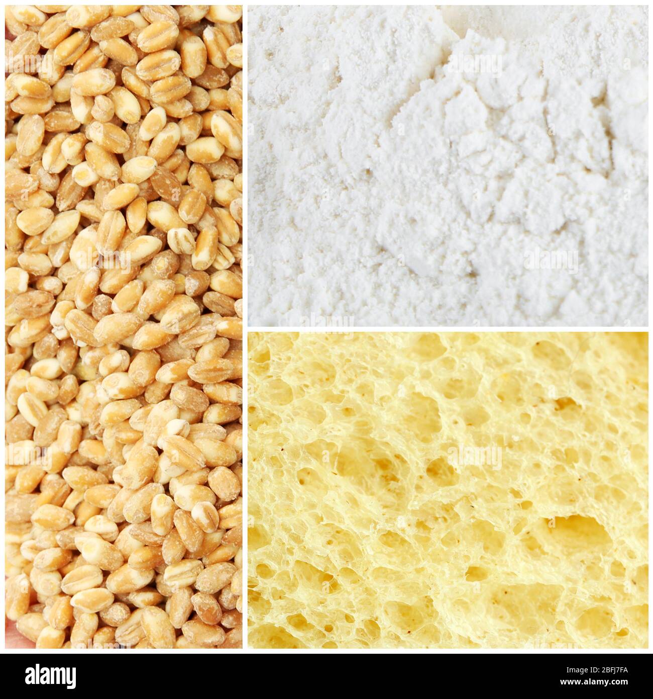Wheat, flour and bread collage Stock Photo - Alamy
