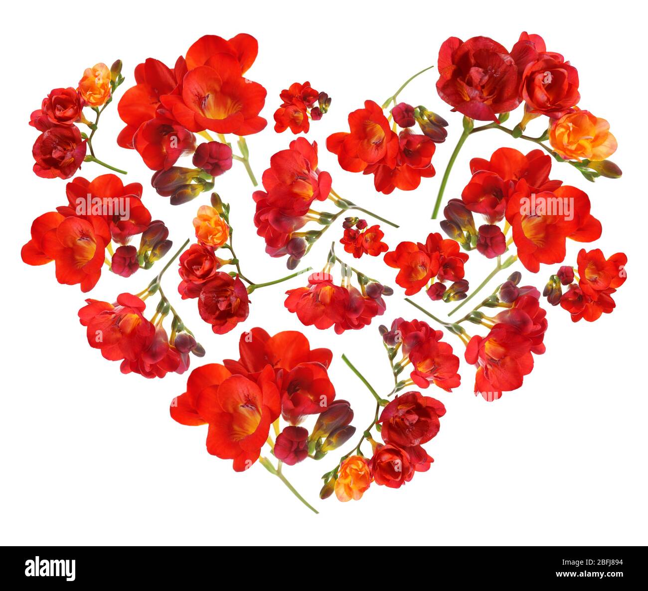 Heart Frame Rose Flower Collage High Resolution Stock Photography and ...
