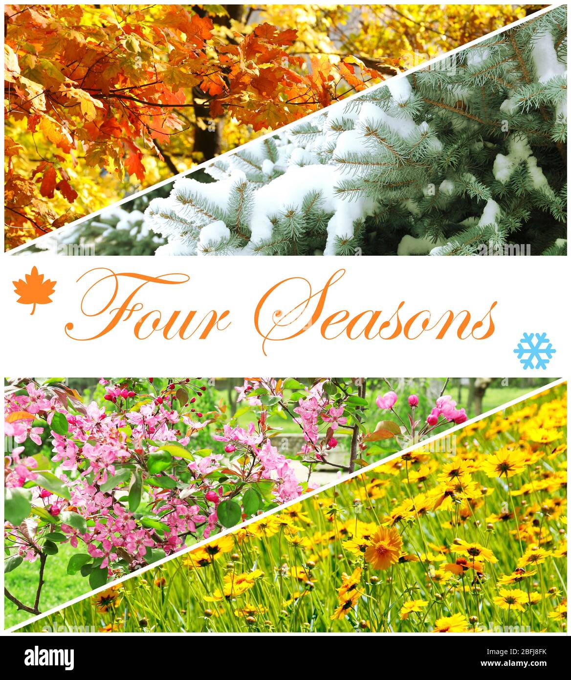 Apple tree spring summer autumn winter hi-res stock photography and ...