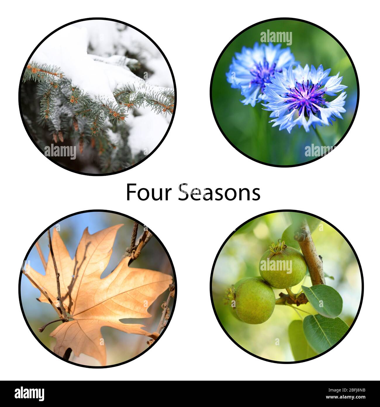 Seasons Idea Concept Outside High Resolution Stock Photography and ...