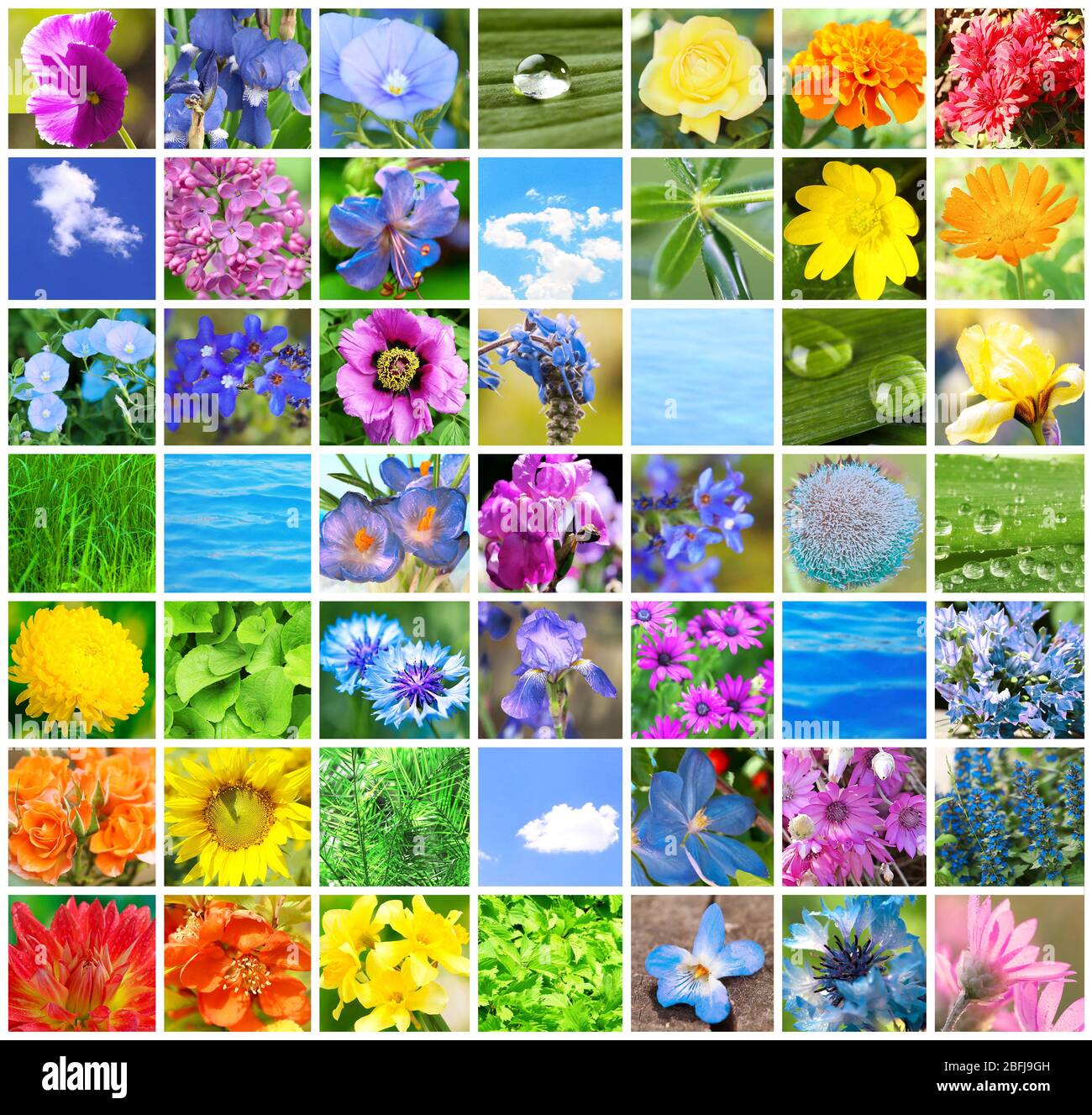 Beautiful nature collage Stock Photo - Alamy