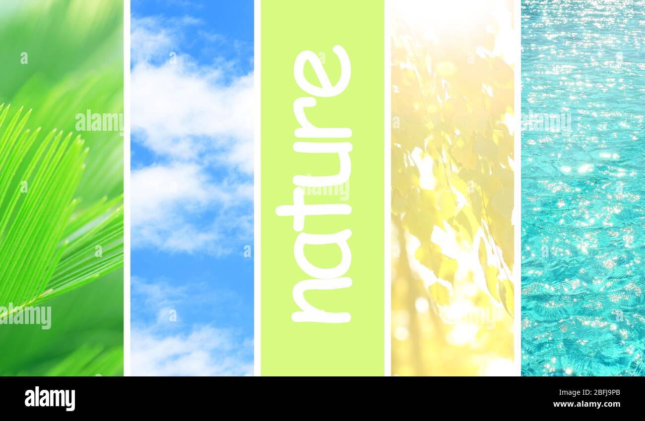 Water, plant, sky and sun in collage, nature components concept Stock ...