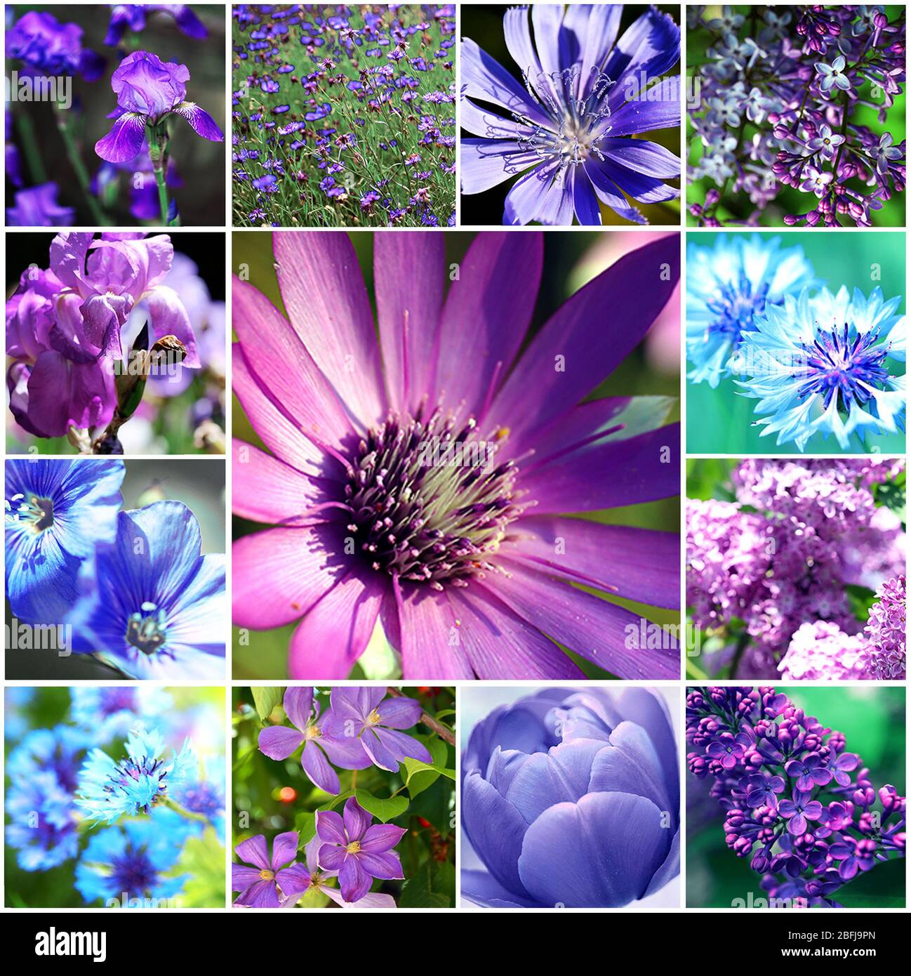 Beautiful nature collage Stock Photo - Alamy