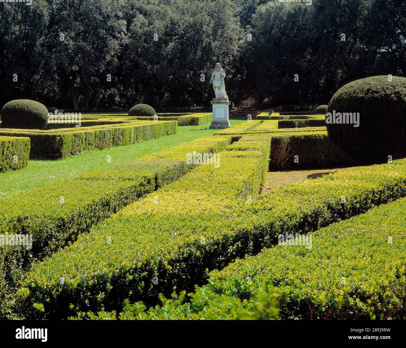 Plant maze hi-res stock photography and images - Alamy