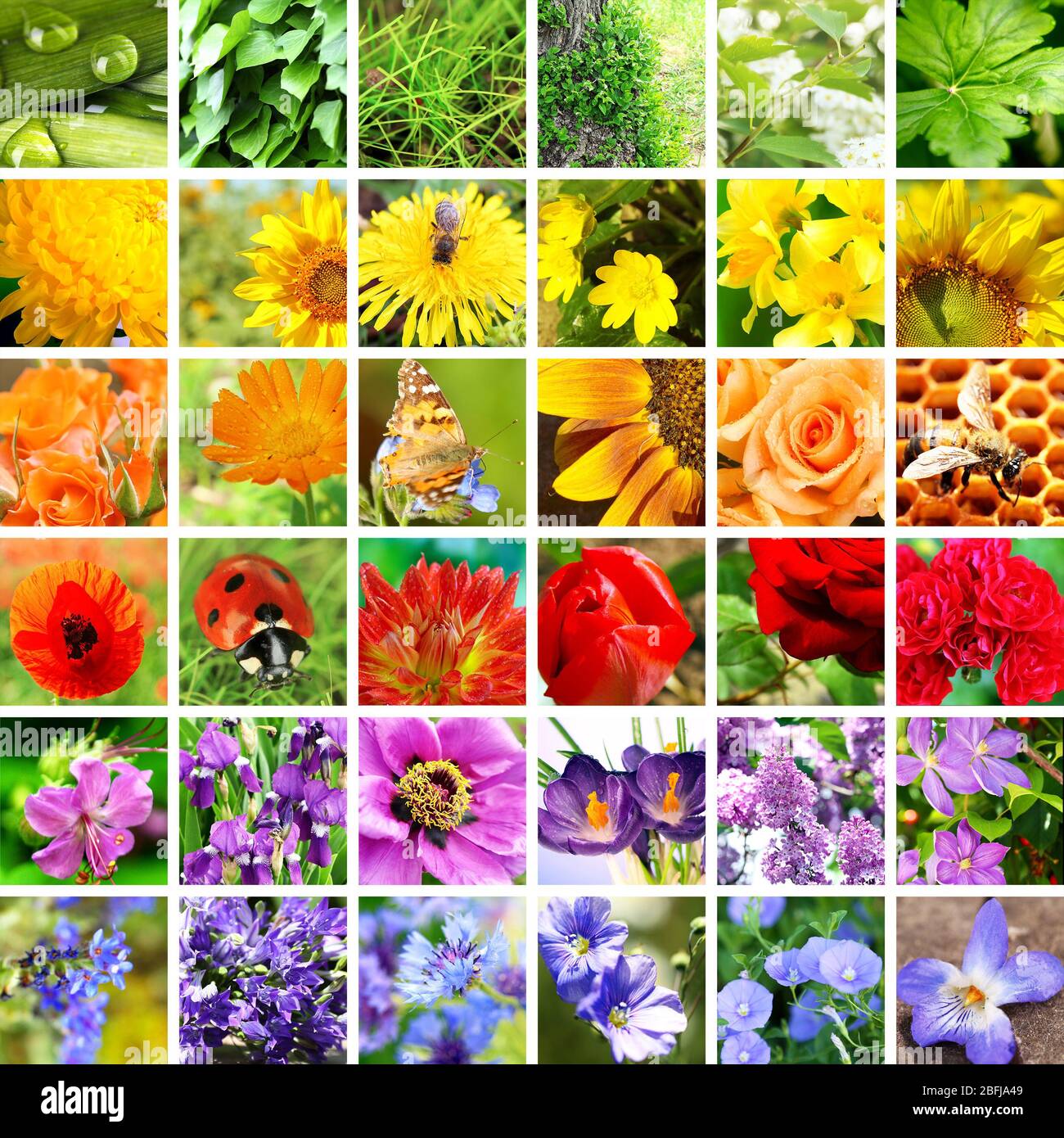 Beautiful nature collage Stock Photo - Alamy