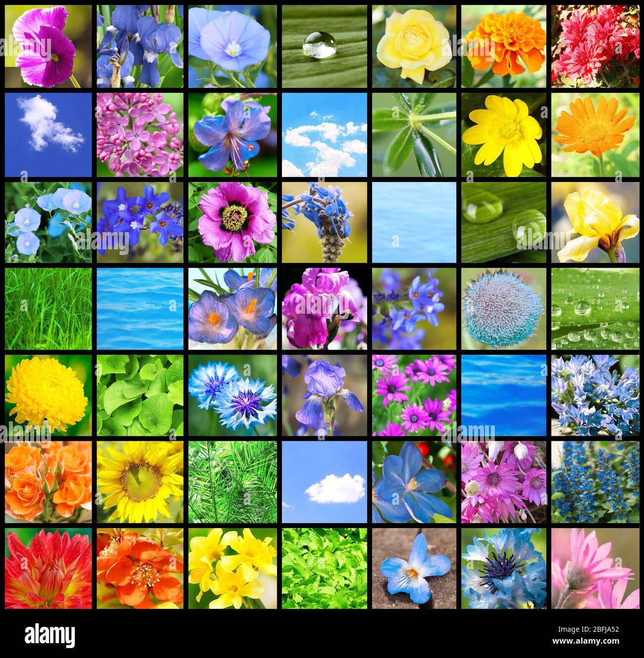 Beautiful nature collage Stock Photo - Alamy