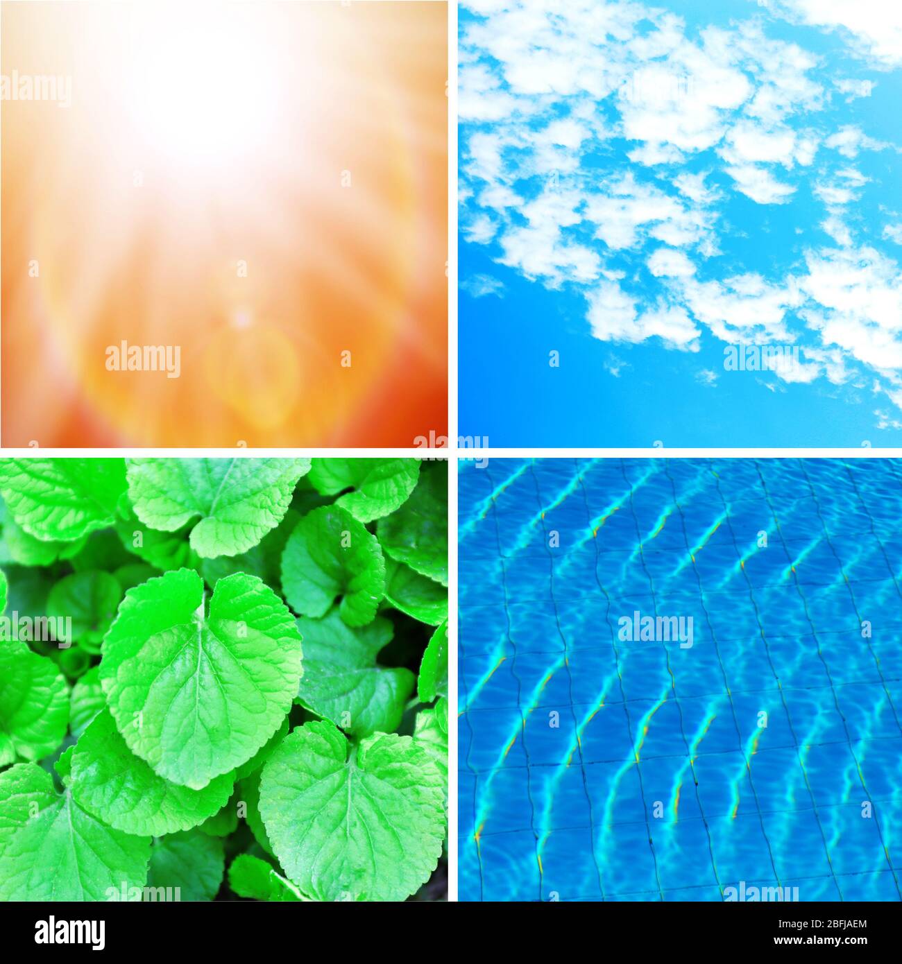 Water, plant, sky and sun in collage, nature components concept Stock ...