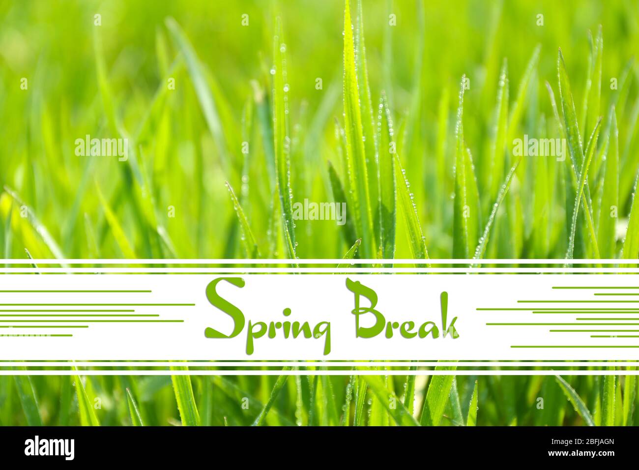 Spring break concept. Green grass background Stock Photo - Alamy