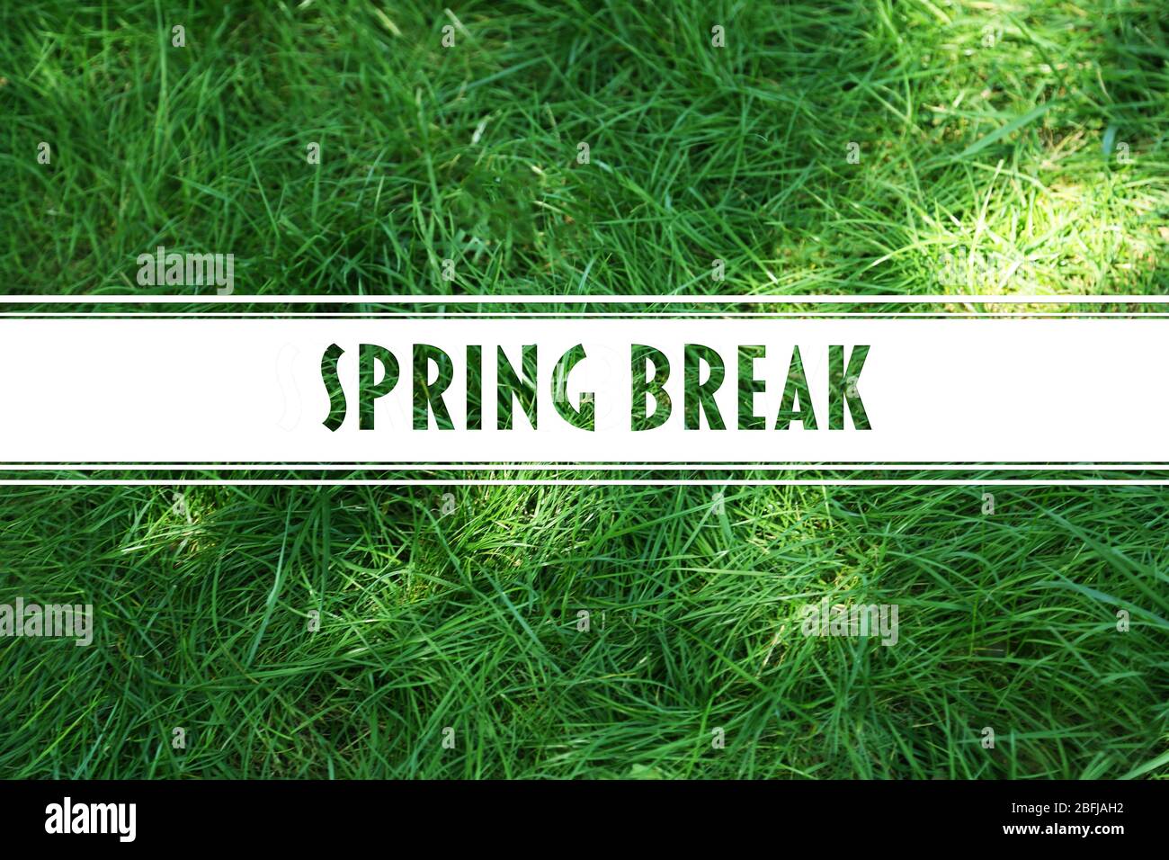 Spring break concept. Green grass background Stock Photo - Alamy