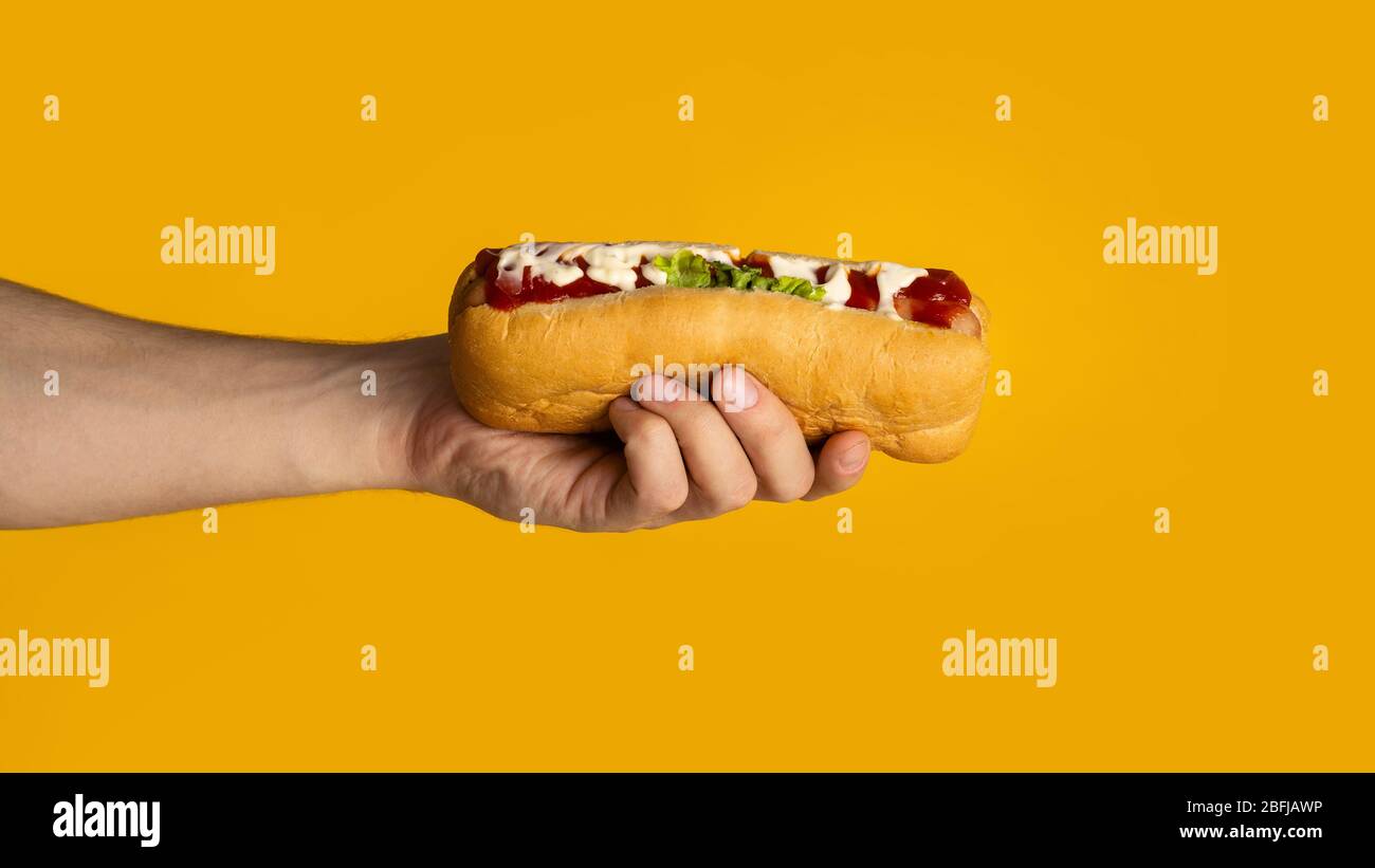 Hand holding hotdog hi-res stock photography and images - Alamy