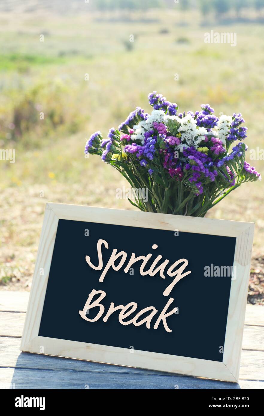 Spring break concept. Beautiful wild flowers in vase and frame on field ...