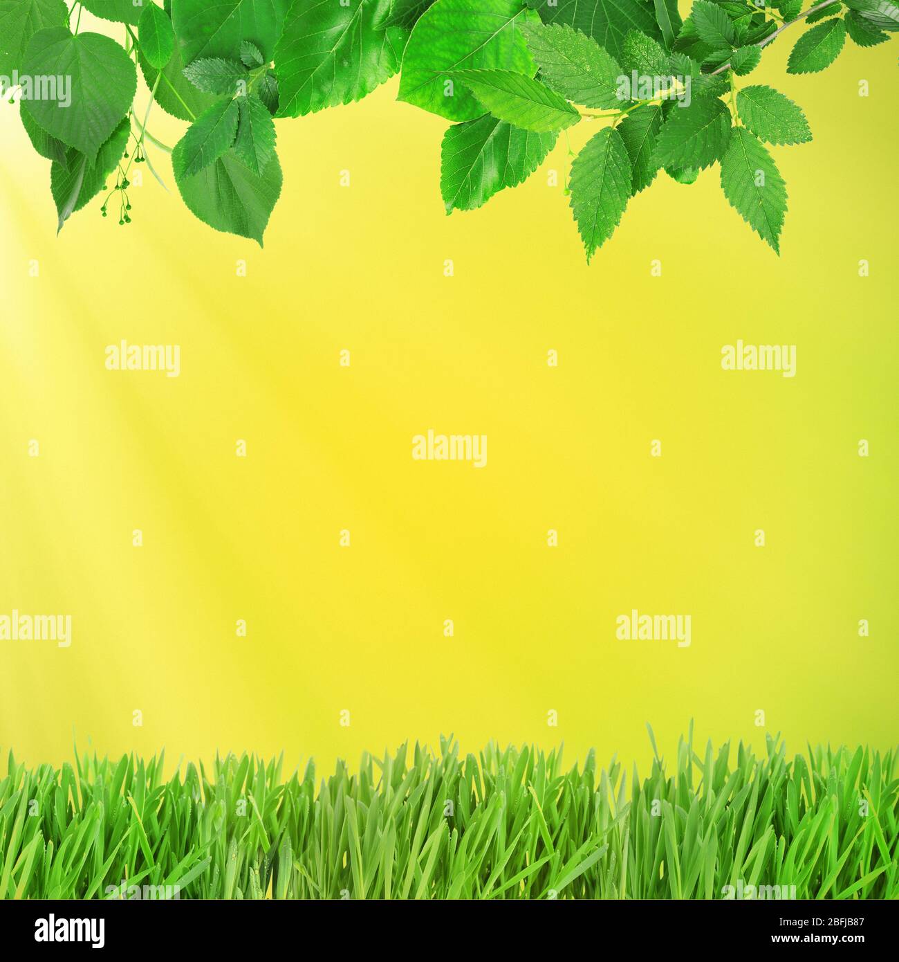 Beautiful spring background with leaves and green grass Stock Photo - Alamy