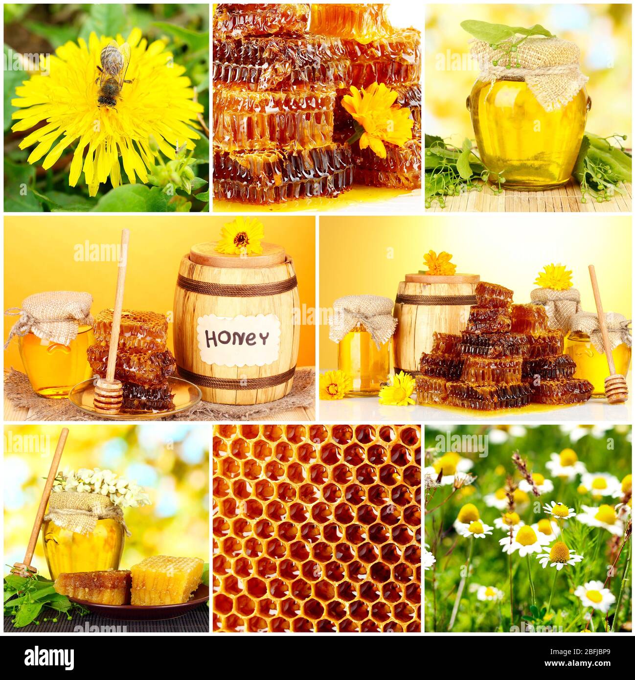 Rural beekeeping Cut Out Stock Images & Pictures - Alamy