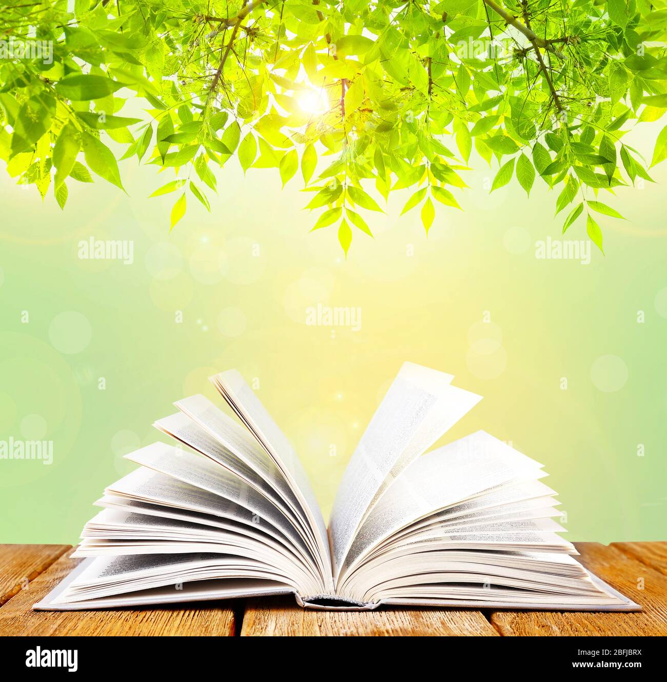 Opened book on table on nature background Stock Photo - Alamy