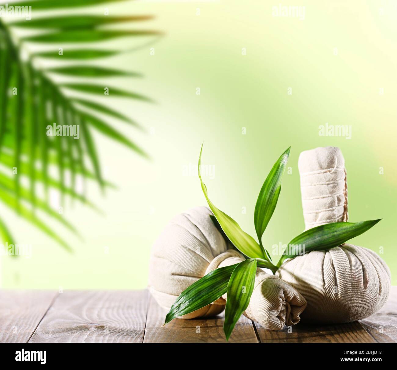 Spa compress balls with leaves on light green background Stock Photo ...