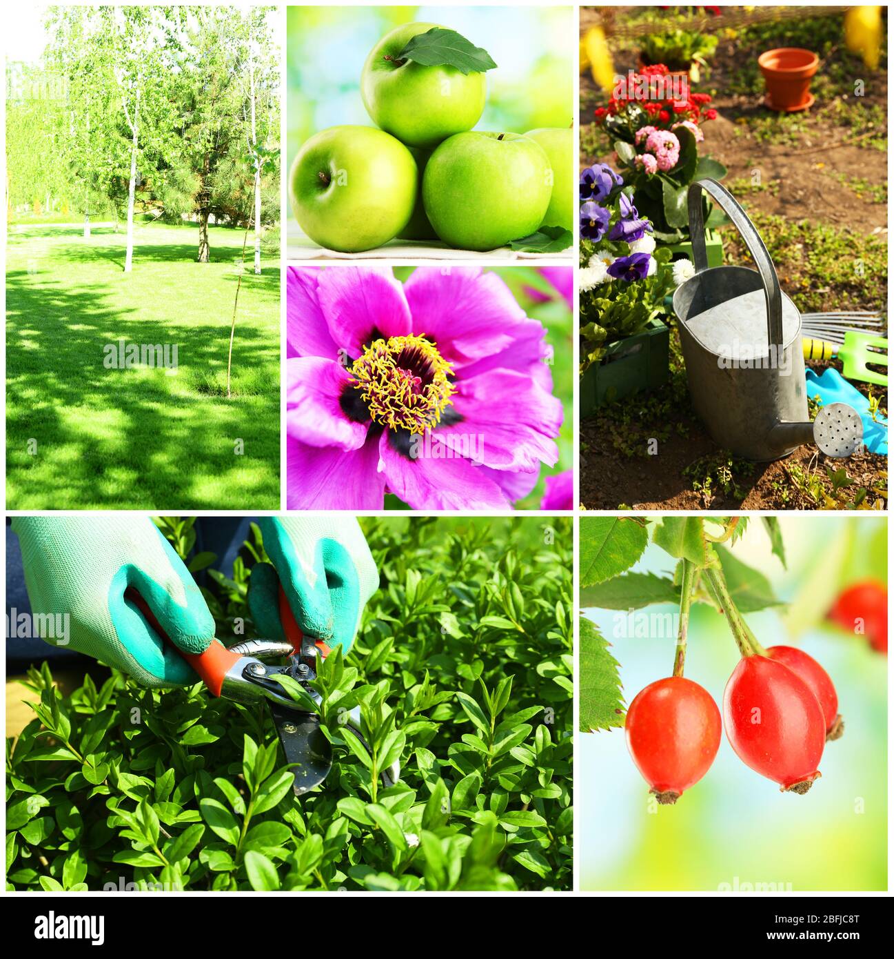 Beautiful landscaping and planting Cut Out Stock Images & Pictures - Alamy