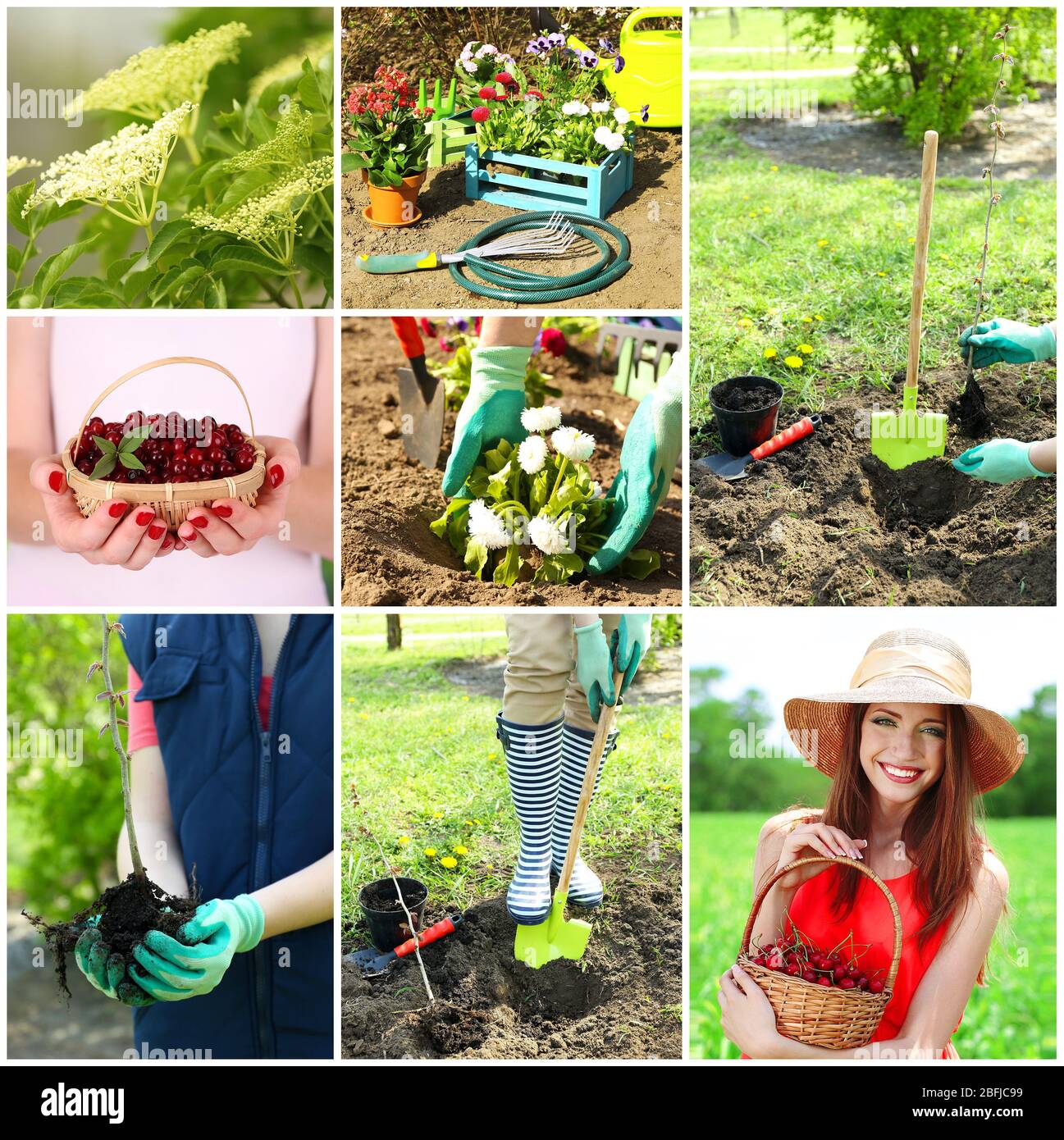 Gardening concept landscaping garden Cut Out Stock Images & Pictures ...