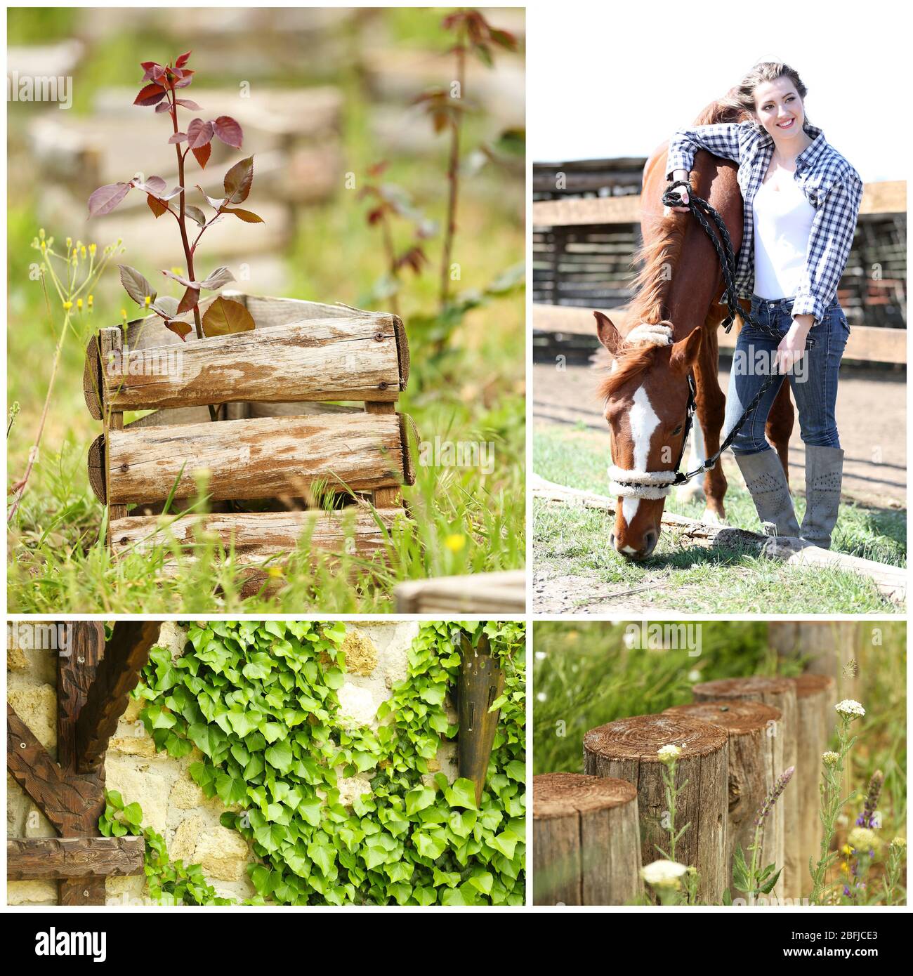 Village collage Cut Out Stock Images & Pictures - Alamy