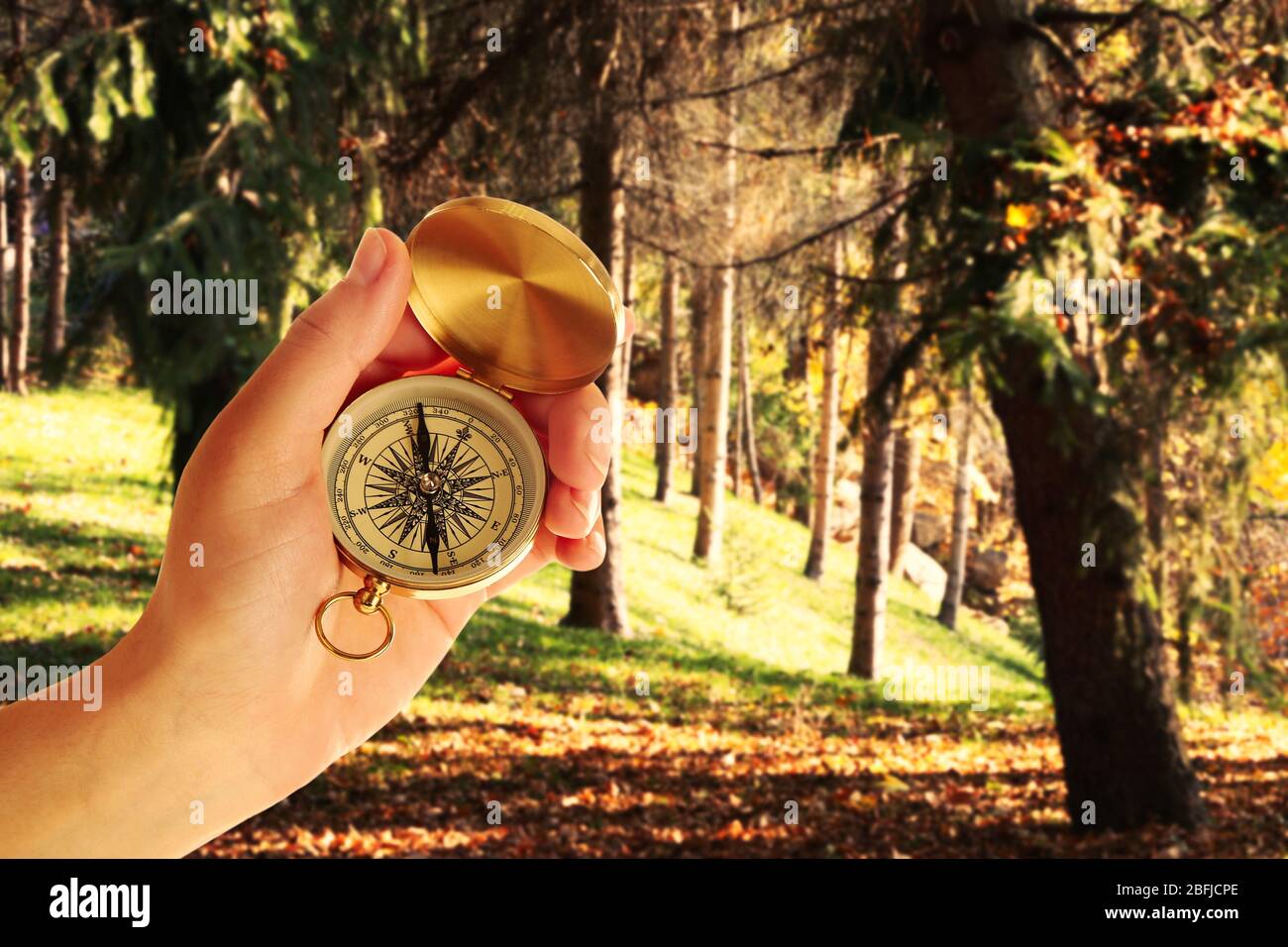 Human hand with compass on nature background Stock Photo - Alamy