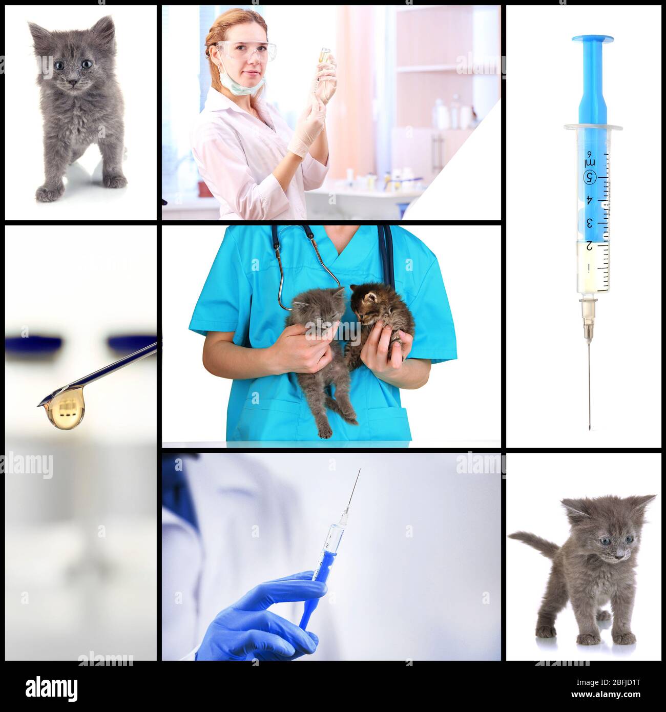 Vaccination and treatment of animals, collage Stock Photo - Alamy