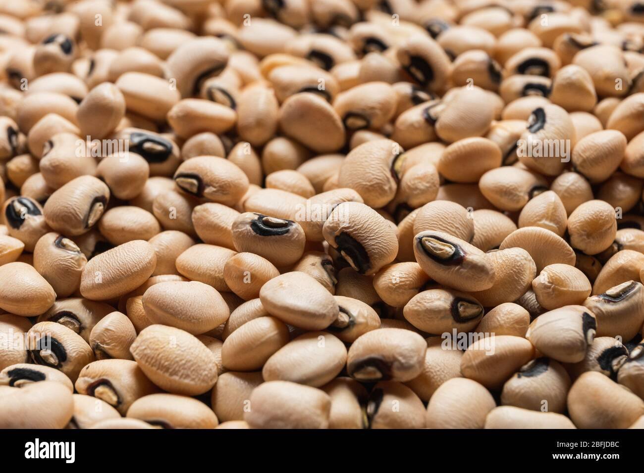 Black Eyed Pea Plant High Resolution Stock Photography and Images - Alamy