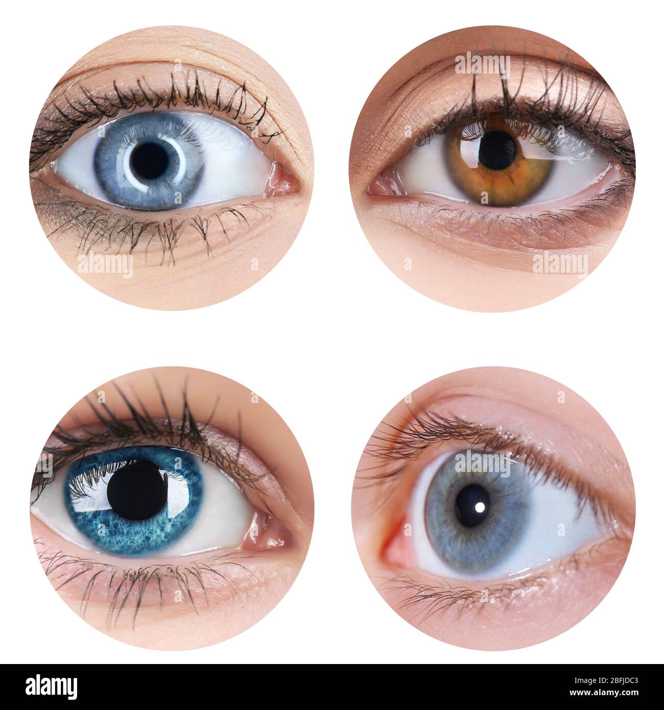 Collage of beautiful female eyes, isolated on white Stock Photo - Alamy