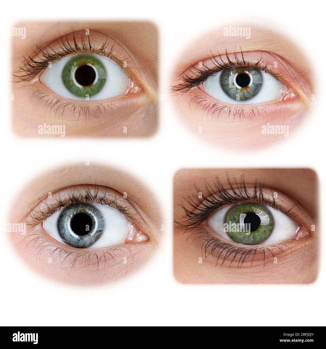 Collage of beautiful female eyes, isolated on white Stock Photo - Alamy