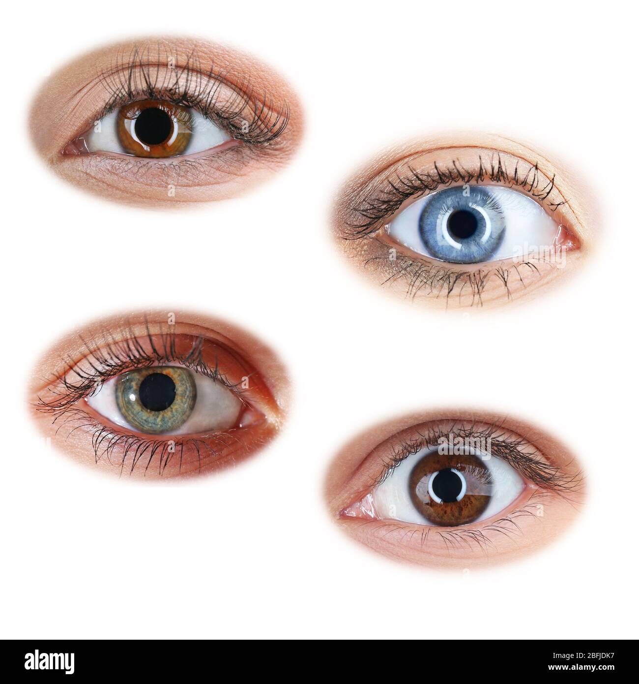 Collage of beautiful female eyes, isolated on white Stock Photo - Alamy