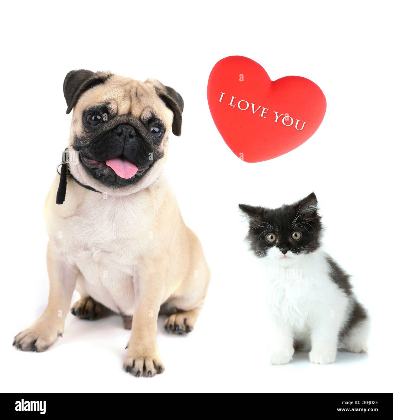Cat and dog with red heart isolated on white Stock Photo - Alamy