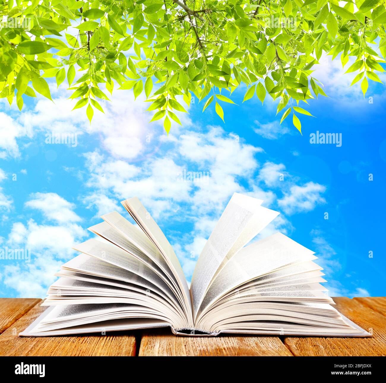 Opened book on table on nature background Stock Photo - Alamy