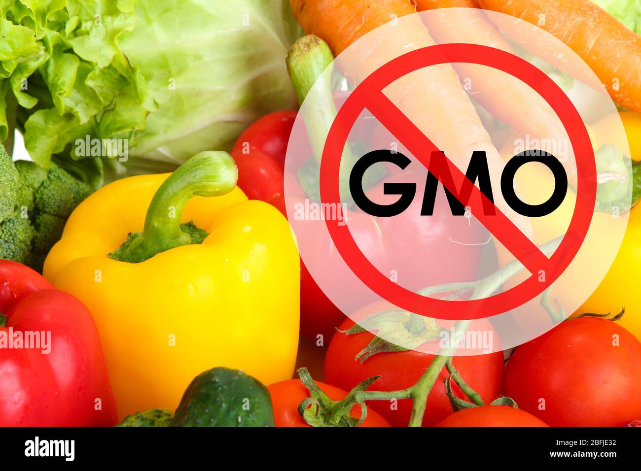 Genetically modified produce tomato hi-res stock photography and images ...