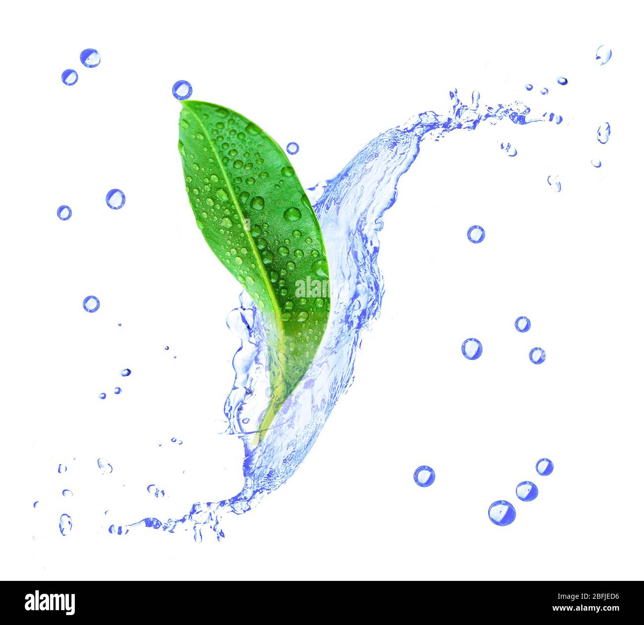 Green leaf in water splashes isolated on white Stock Photo - Alamy